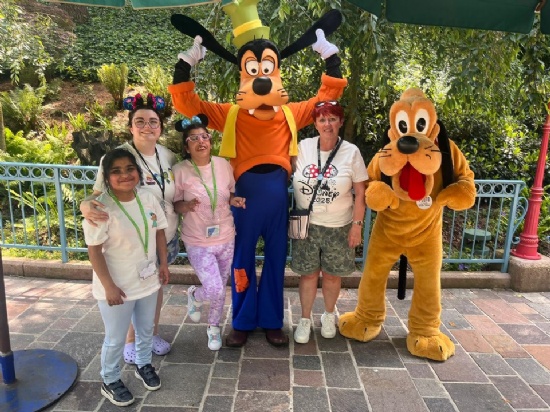 New Bridge Group - CEO Blog 13625