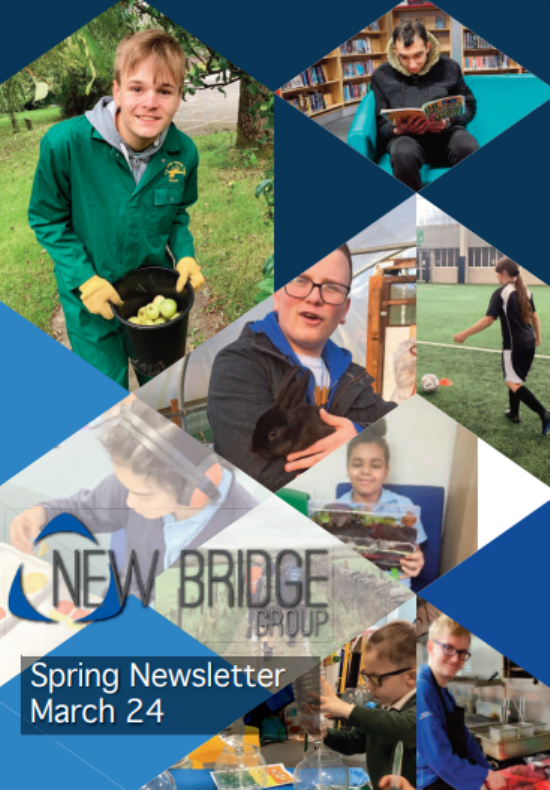 New Bridge Group - New Bridge Group Spring Newsletter 2024
